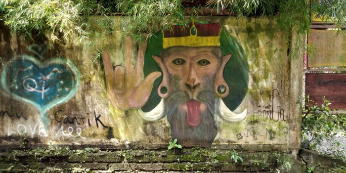 Bali street art and graffiti in Canggu | Buenos Aires Street Art